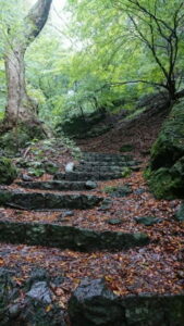 相談支援事業所Woodnote | Locus